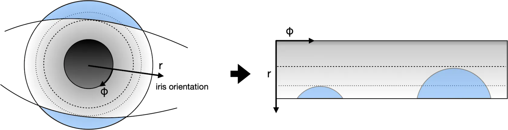Iris recognition inference system